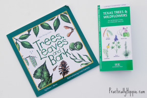 Fall Nature Wreath Preschool Activity - Rooted Childhood