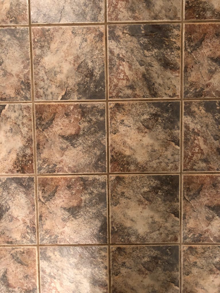 How I Painted My Ugly Tile Floor With Stunning Results - Rooted Childhood