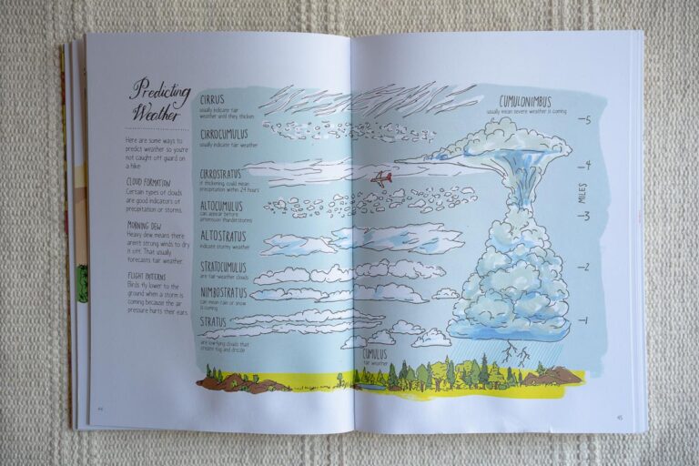 Nature Study: Clouds & the Water Cycle - Rooted Childhood