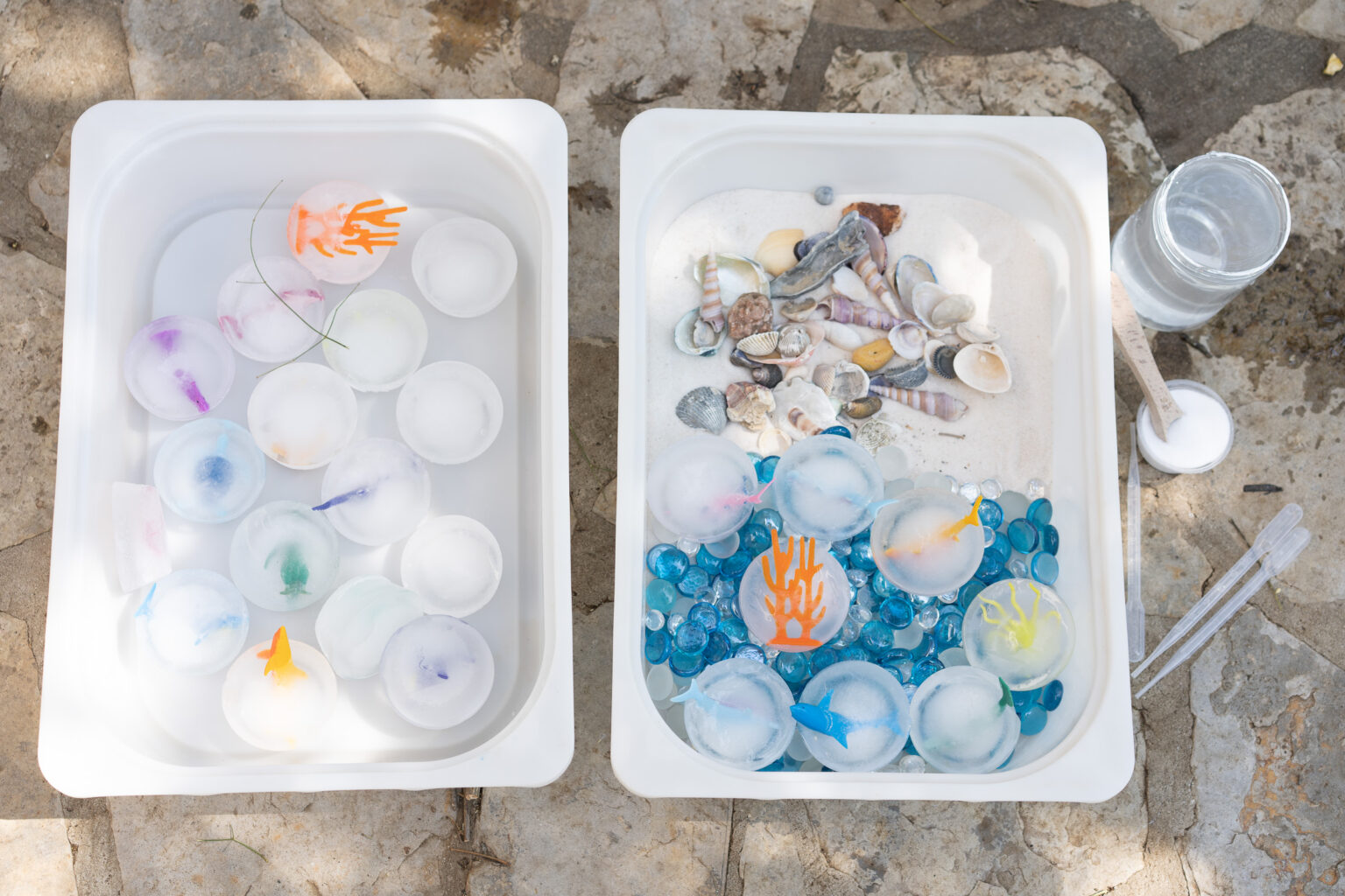 Sea Animal Rescue- Ice Cube Sensory Play - Rooted Childhood