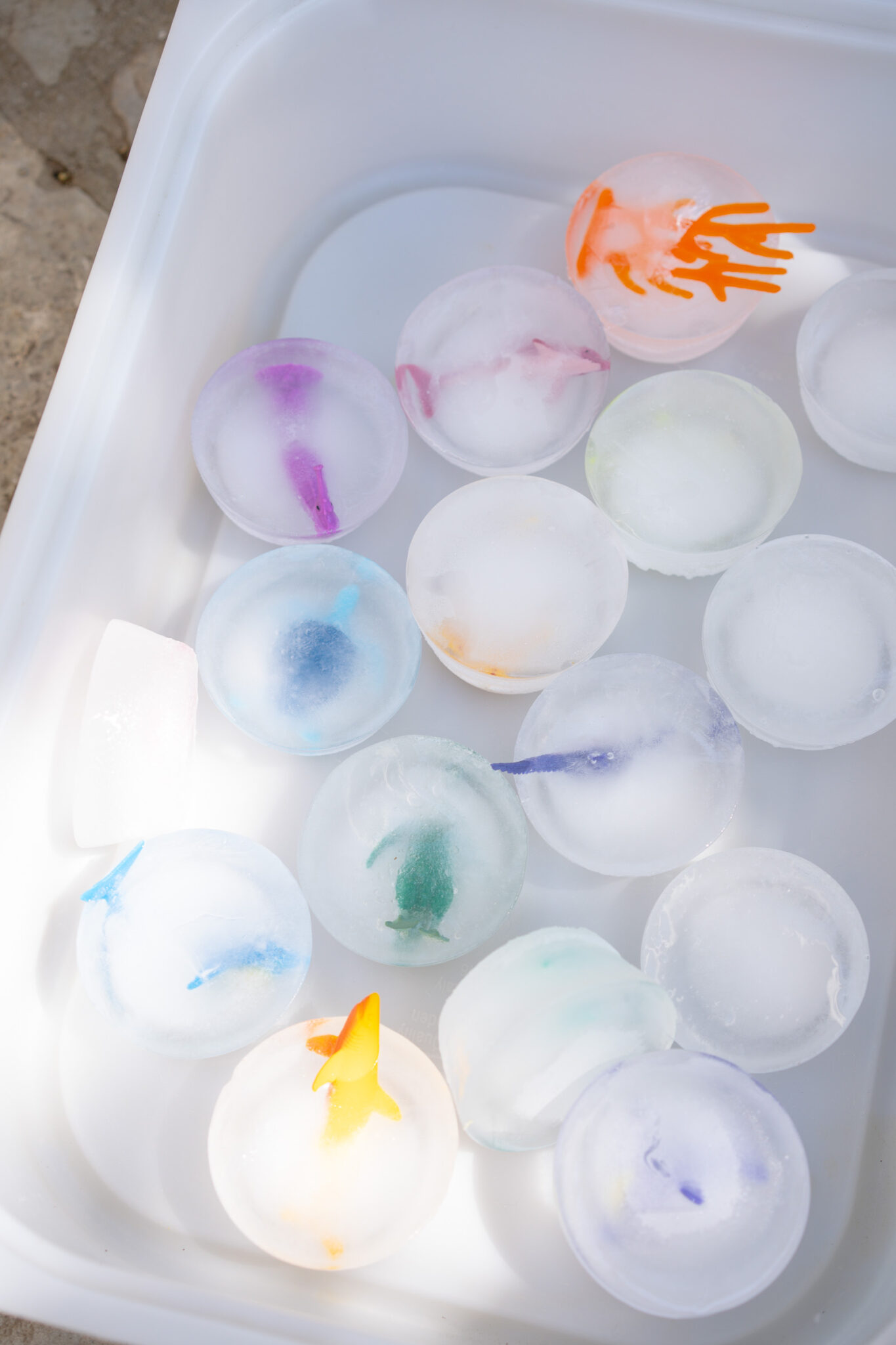 Sea Animal Rescue- Ice Cube Sensory Play - Rooted Childhood
